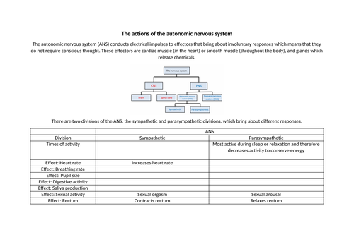 Autonomic nervous system (AQA GCSE Psychology) | Teaching Resources Autonomic nervous system (AQA GCSE Psychology) | Teaching Resources