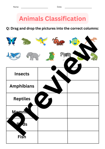 Printable Classification of Animals Worksheet for Grade 1, 2, 3 ...