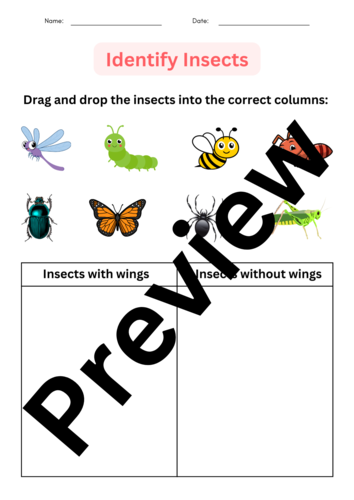 Printable Insects Worksheet for Kindergarten - Identify and Matching ...