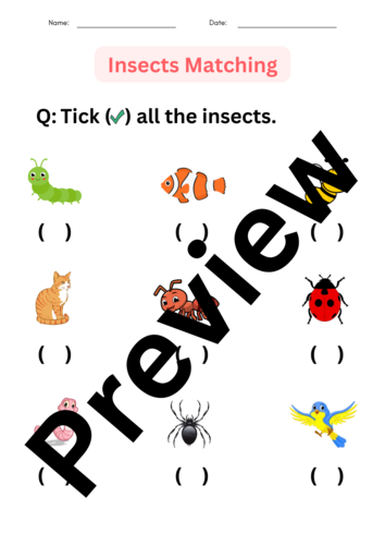 Printable Insects Worksheet for Kindergarten - Identify and Matching ...
