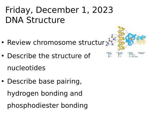 CIE 6.1 Structure of Nucleic Acids and DNA | Teaching Resources