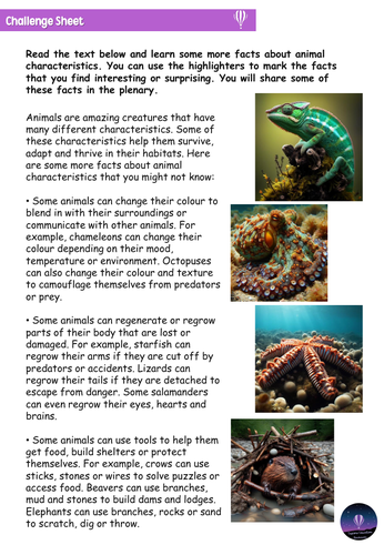 KS2 Animal Characteristics - Outstanding Science Lesson | Teaching Resources