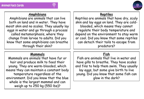 KS2 Animal Characteristics - Outstanding Science Lesson | Teaching ...