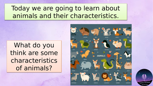 KS2 Animal Characteristics - Outstanding Science Lesson | Teaching ...