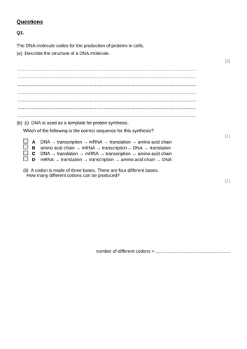 CIE 6.2 Protein Synthesis | Teaching Resources