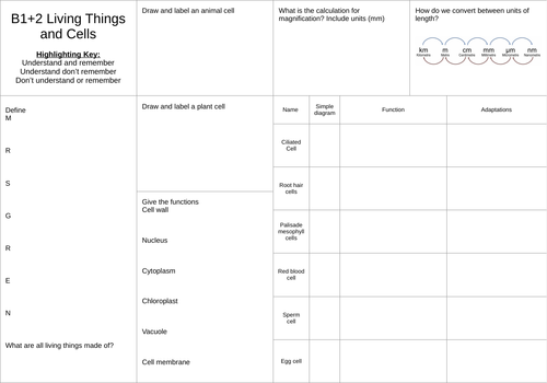Coordinated Biology - Revision, Review, End of Topic Worksheets - CIE ...