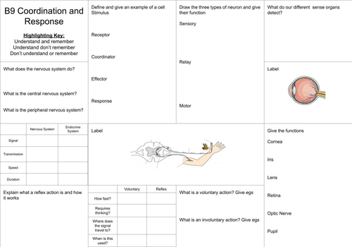 Coordinated Biology - Revision, Review, End of Topic Worksheets - CIE ...
