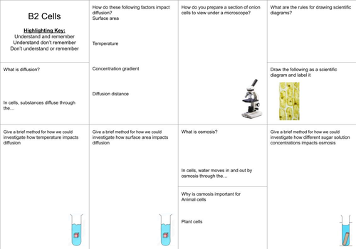 Coordinated Biology - Revision, Review, End of Topic Worksheets - CIE ...