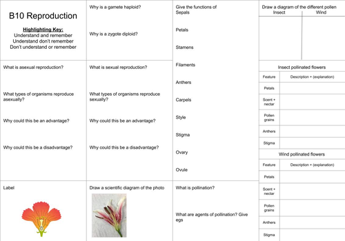 Coordinated Biology - Revision, Review, End of Topic Worksheets - CIE ...