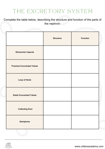 Excretory system worksheets Animal care L3 | Teaching Resources