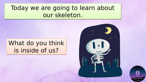 The Human Skeleton - Outstanding KS2 Science Lesson | Teaching Resources