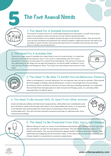 5 Animal Needs fact sheet | Teaching Resources