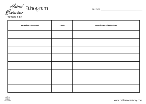 Animal behaviour ethogram templates | Teaching Resources