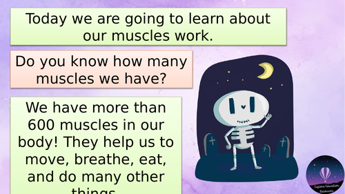 How Muscles Work - Outstanding KS2 Science Lesson | Teaching Resources