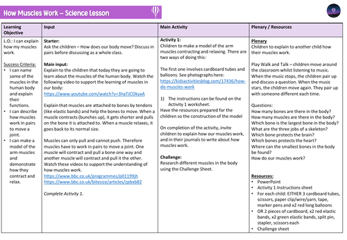 How Muscles Work - Outstanding KS2 Science Lesson | Teaching Resources