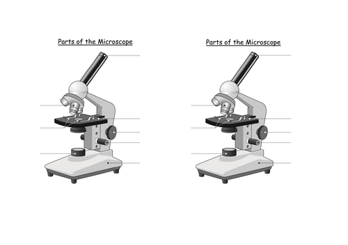 KS3 - Using a Microscope | Teaching Resources