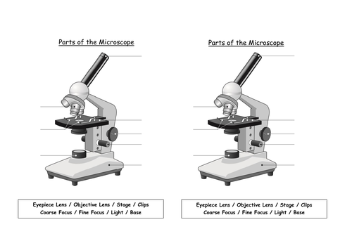KS3 - Using a Microscope | Teaching Resources