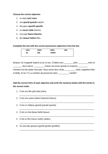 French GCSE Adjectives | Teaching Resources