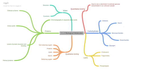 OCR A-level Biology Module 2 Mindmaps | Teaching Resources
