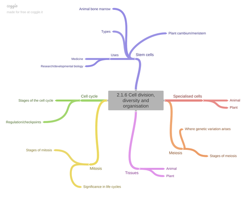 OCR A-level Biology Module 2 Mindmaps | Teaching Resources