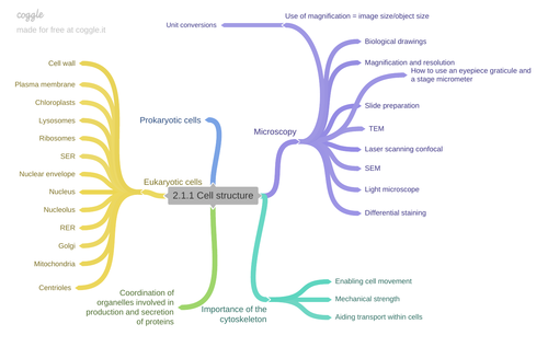 OCR A-level Biology Module 2 Mindmaps | Teaching Resources