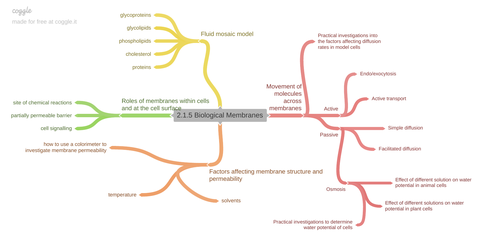 OCR A-level Biology Module 2 Mindmaps | Teaching Resources