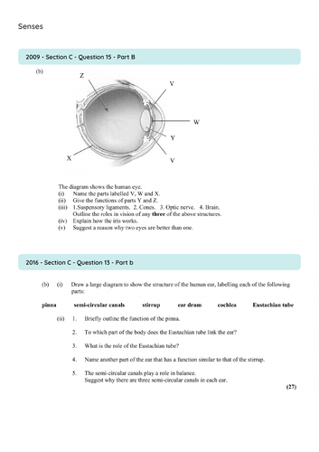 LC Biology - 3.5.3 - Responses in Humans - Senses | Teaching Resources