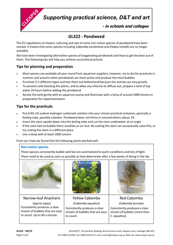 KS3 - Plant Cells | Teaching Resources