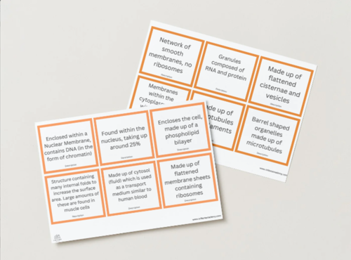 cell organelle card sort activity | Teaching Resources