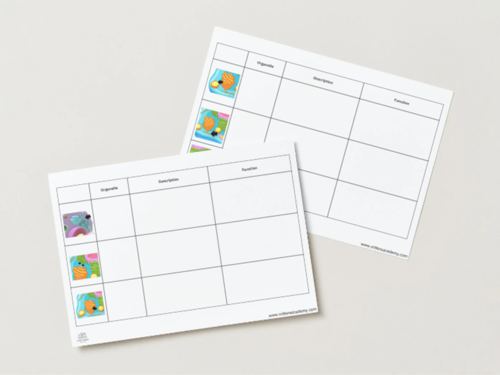 cell organelle card sort activity | Teaching Resources