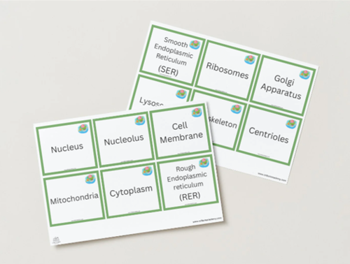 cell organelle card sort activity | Teaching Resources