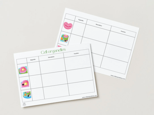 cell organelle card sort activity | Teaching Resources