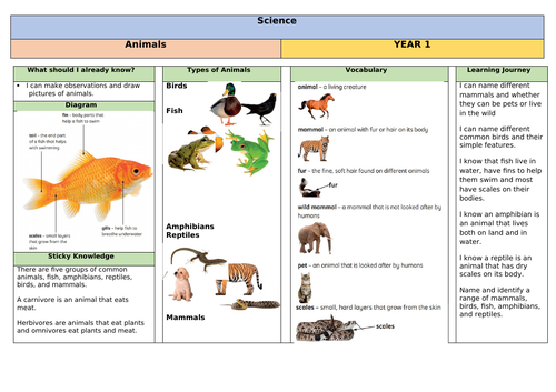 Knowledge Organiser- Animals Science | Teaching Resources