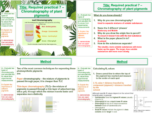 Investigating plant pigments (chlorophyll chromatography) - AQA A Level ...