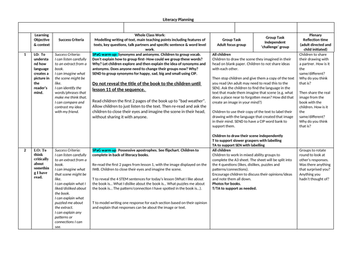 Year 3 Literacy Planning The Tin Forest | Teaching Resources