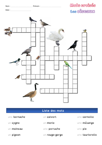 [French crosswords] mots croisés : oiseaux (9 mots) | Teaching Resources