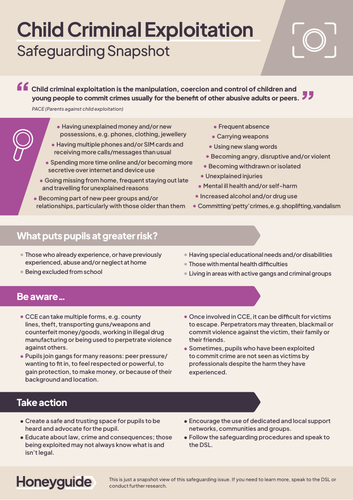 Safeguarding Training Snapshot - CCE | Teaching Resources