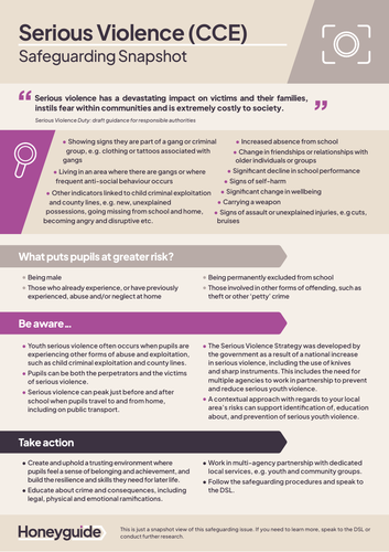 Safeguarding Training Snapshot - CCE Serious Violence | Teaching Resources