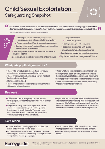 Safeguarding Training Snapshot - CSE | Teaching Resources