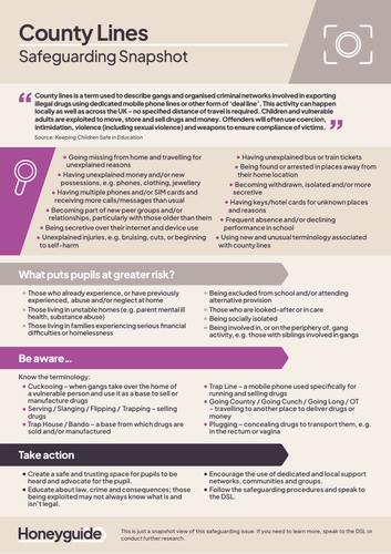 Safeguarding Training Snapshot - County Lines | Teaching Resources