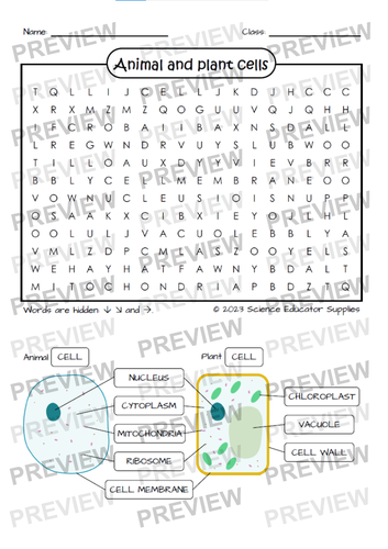 Animal and plant cells word search | Teaching Resources