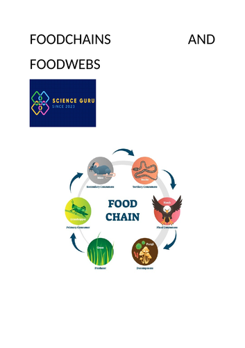 FOOD CHAINS AND FOOD WEBS | Teaching Resources