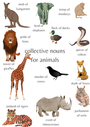 Collective nouns posters animals and sea creatures | Teaching Resources