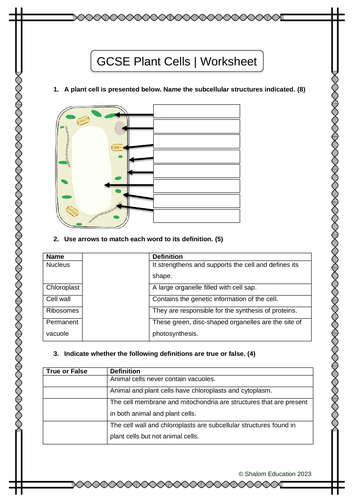 GCSE Biology - Plant Cells Activity Worksheet | Teaching Resources