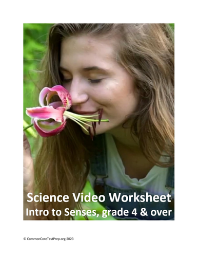 Intro to Human Senses. Video worksheet | Teaching Resources