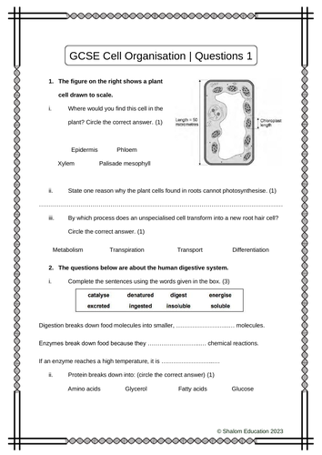 GCSE Biology - Cell Organisation Practice Questions 1 | Teaching Resources