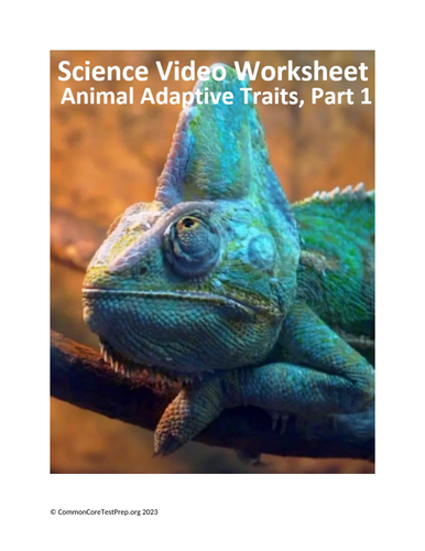 Animal Adaptive Traits Part 1 Video worksheet | Teaching Resources