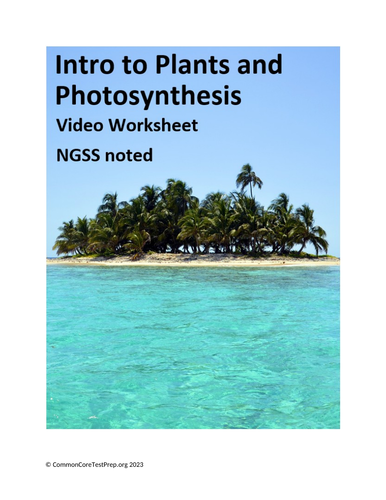Intro to Plants & Photosynthesis, Video sheet | Teaching Resources