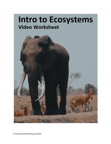 Intro to Ecosystems Video sheet, Google Forms | Teaching Resources