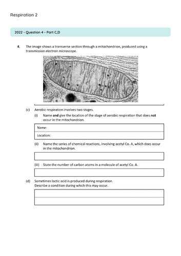 LC - Biology - 2.2.5 - Respiration | Teaching Resources